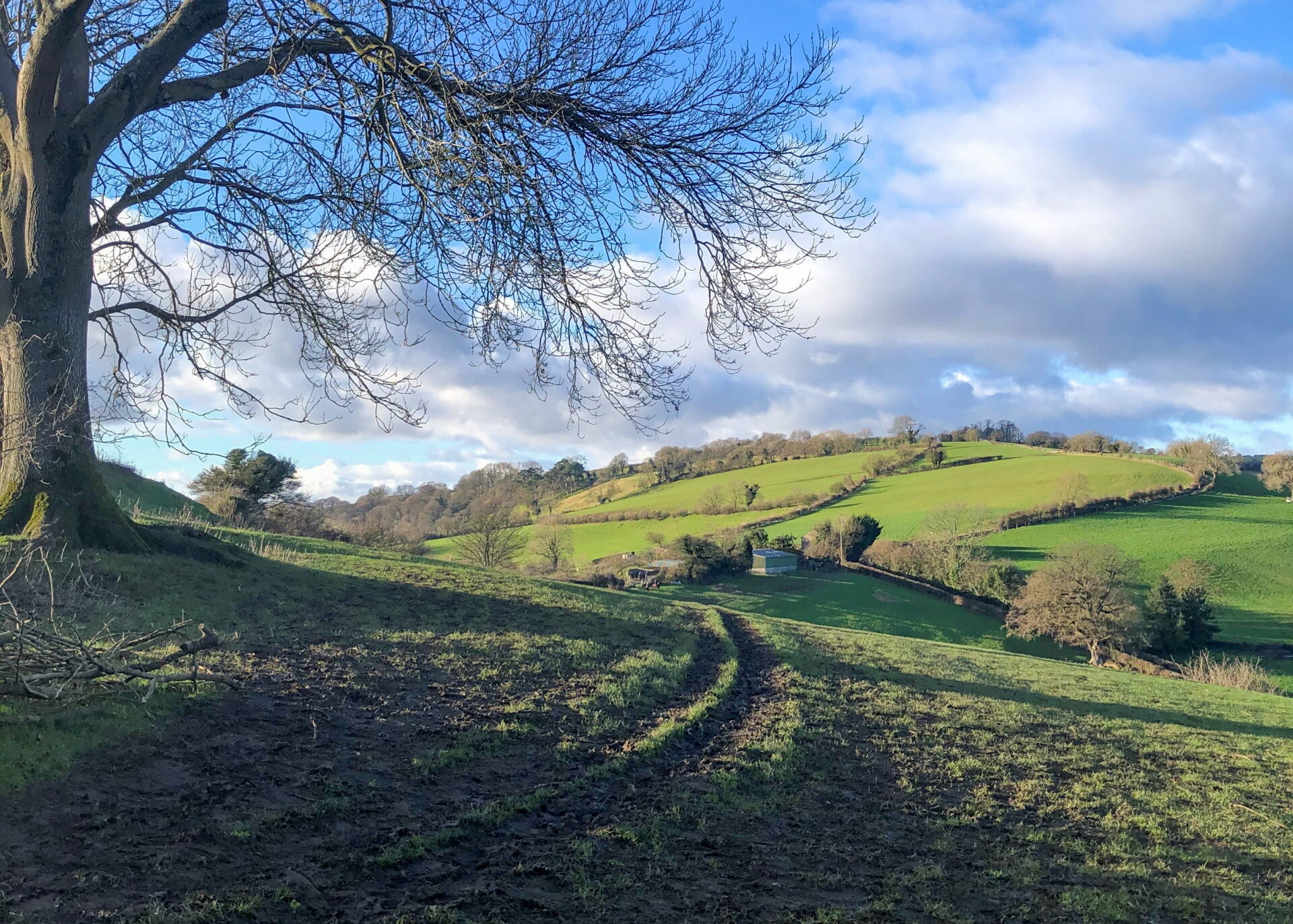 Welcome Ambassadors Recommend: Walks in Bath - Welcome to Bath