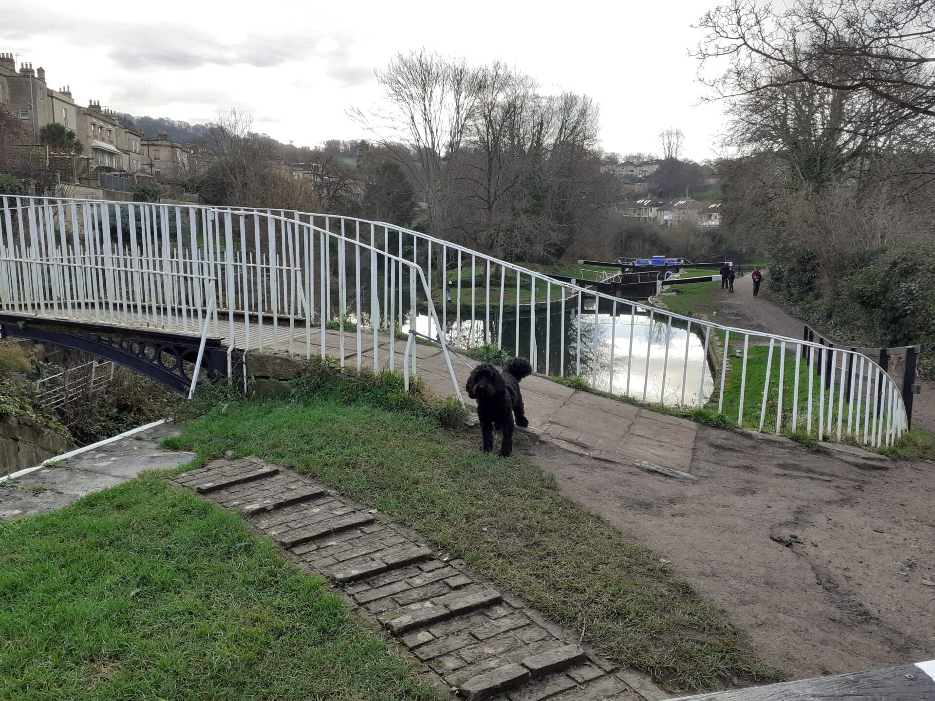 A Welcome Ambassador Recommends: A Dog Walk in Bath - Welcome to Bath